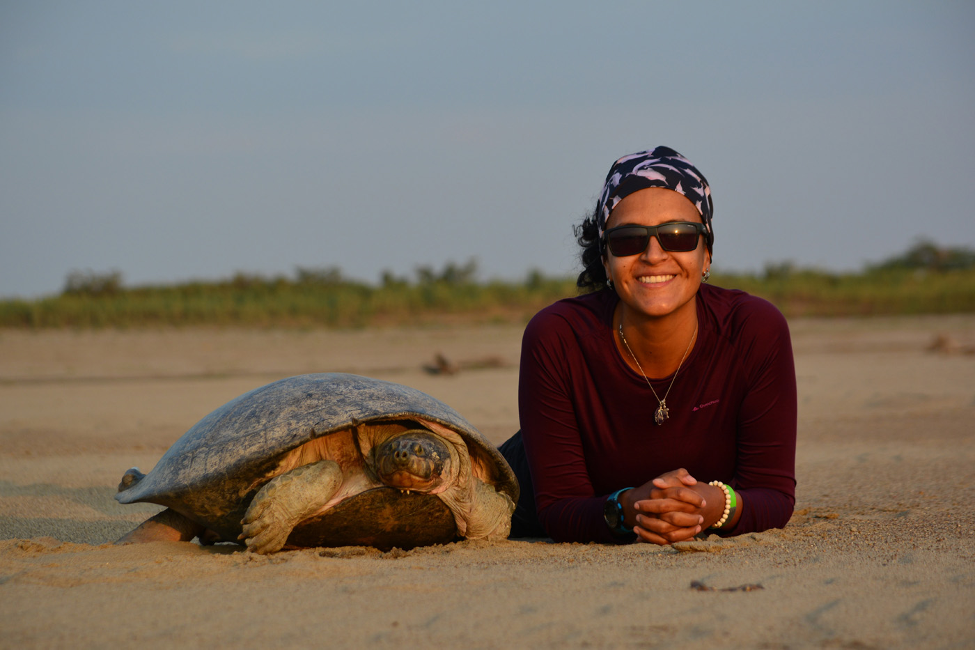 El futuro incierto de la tortuga charapa la más grande de agua dulce de ...