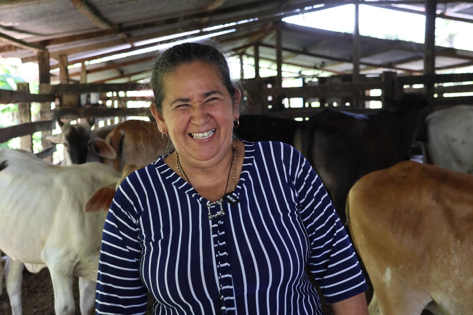 SierraCol Energy fortalece el sector productivo de Arauca con su apoyo ...